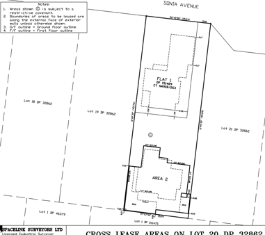 CROSS-LEASE UPDATE - Spacelink Surveyors